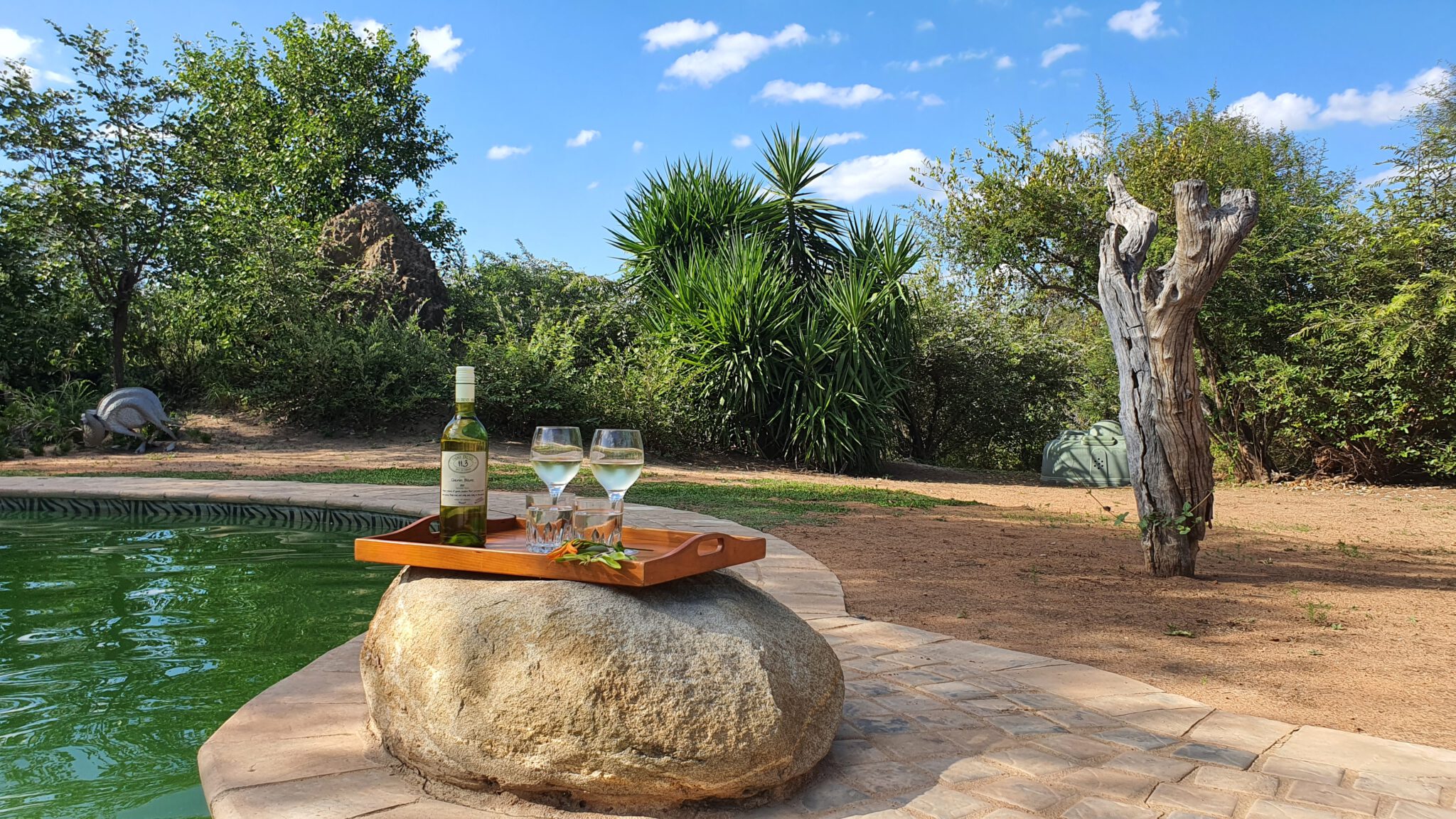 Masorini Bush Lodge – Masorini Bush Lodge